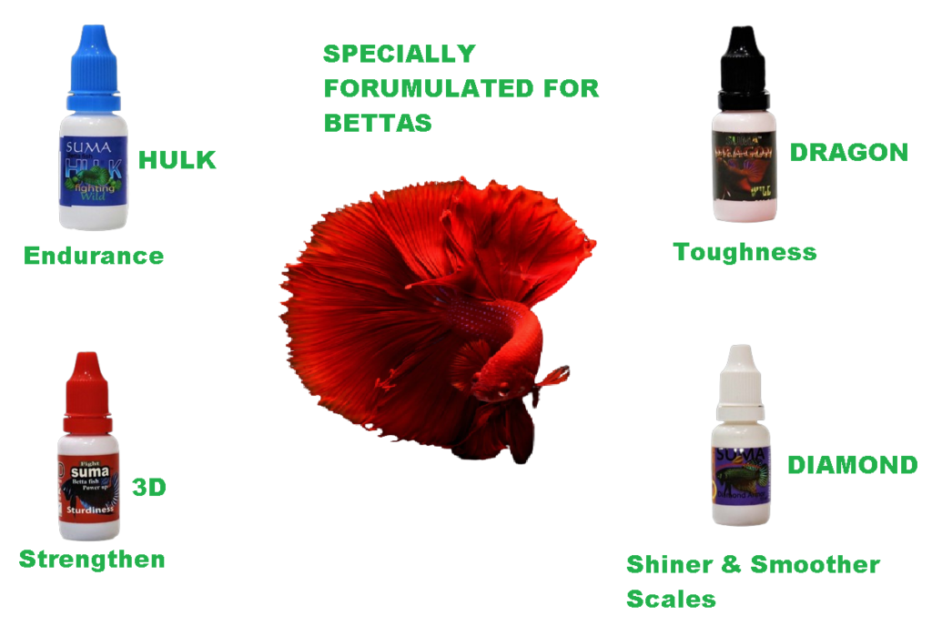 Suma Water Supplement For Bettas - Hulk / Dragon / Diamond /3D ...